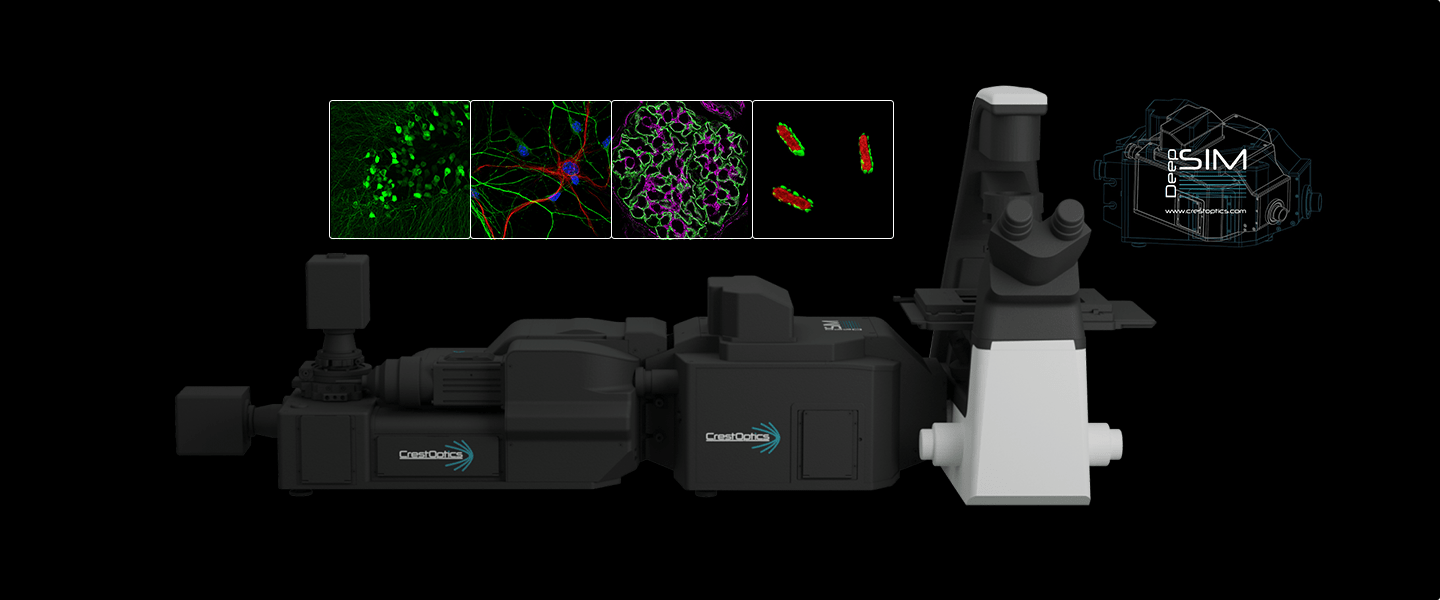 Mini-symposium and Demonstration Day in Advanced Fluorescence ...
